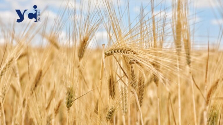 Правда за Одессу |Новости города